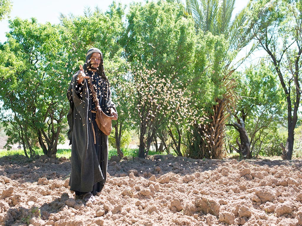 The Farmer Scattering Seed; Parables of Jesus – Word for the Soul