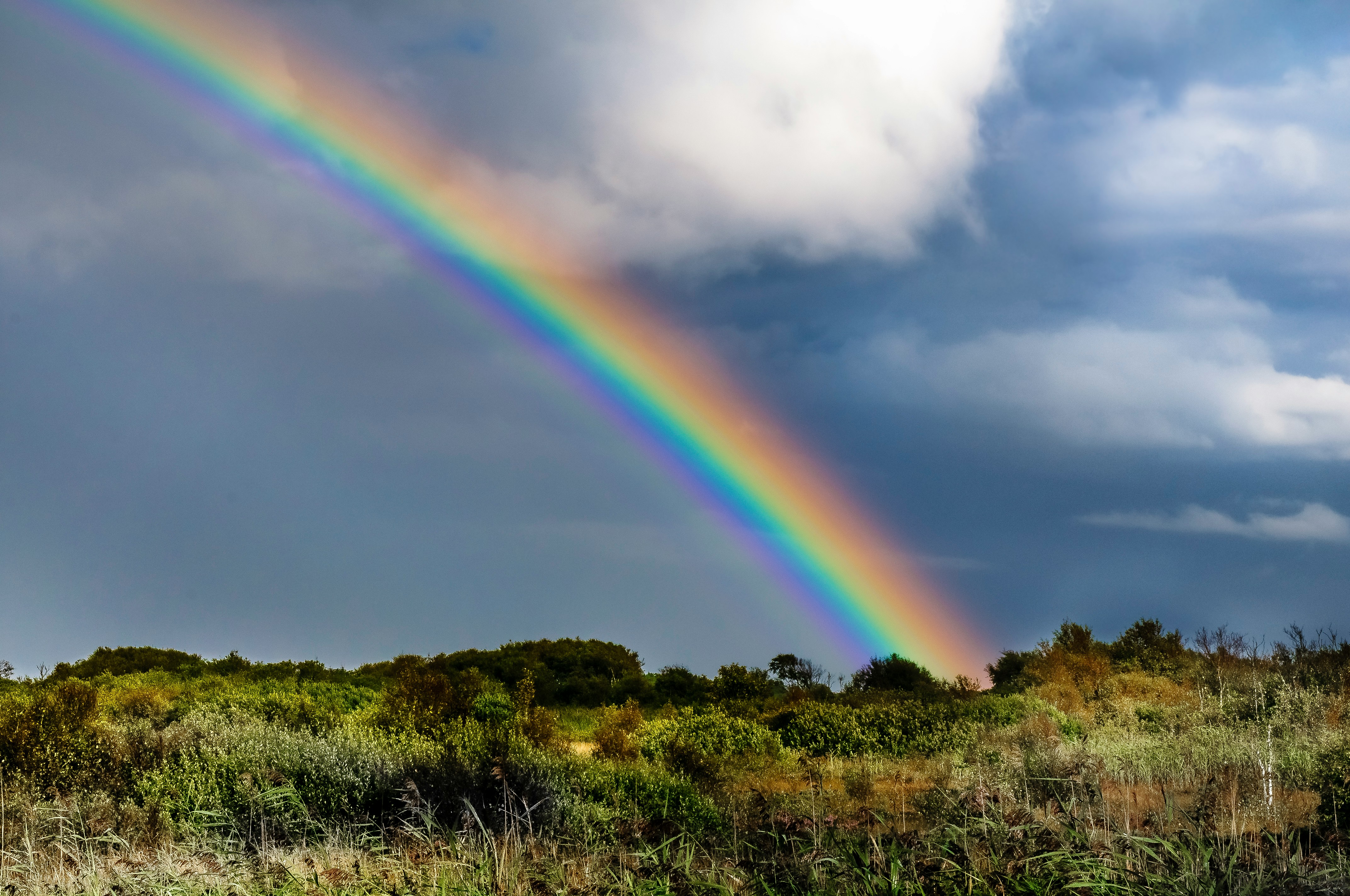 Why the Rainbow? – Word for the Soul
